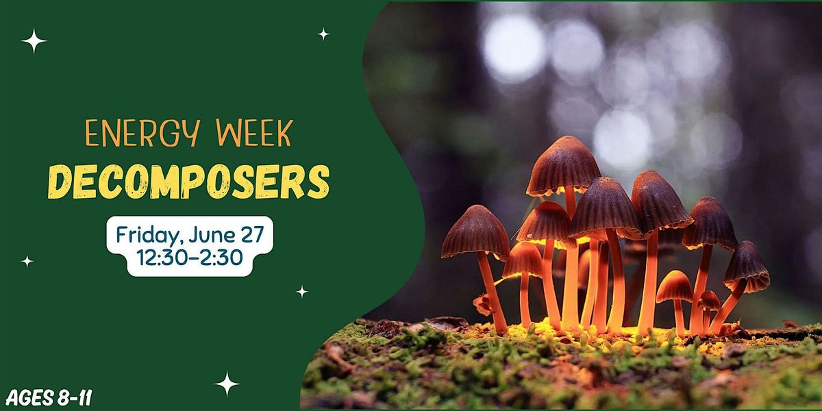 Junior Trailblazers: Decomposers - Natures cleanup crew!, Moebius ...