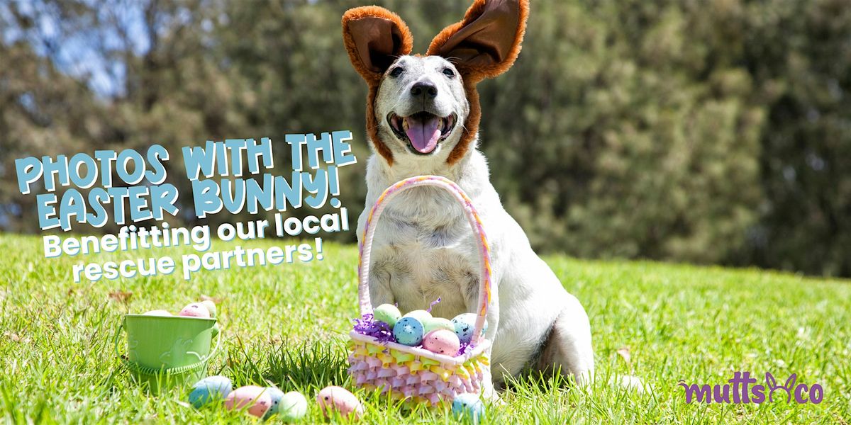 Easter Bunny Photos Benefitting Stop the Suffering (Westerville), Mutts ...