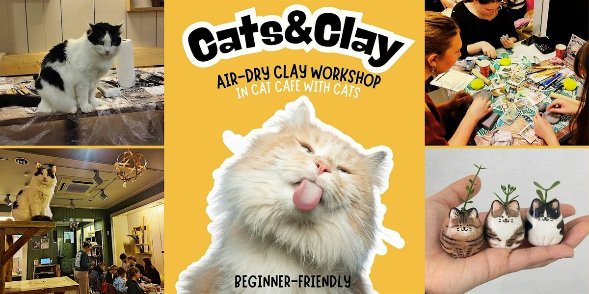 Cats&Clay - clay workshop in cat cafe with cats - Leiden, Sophie ...