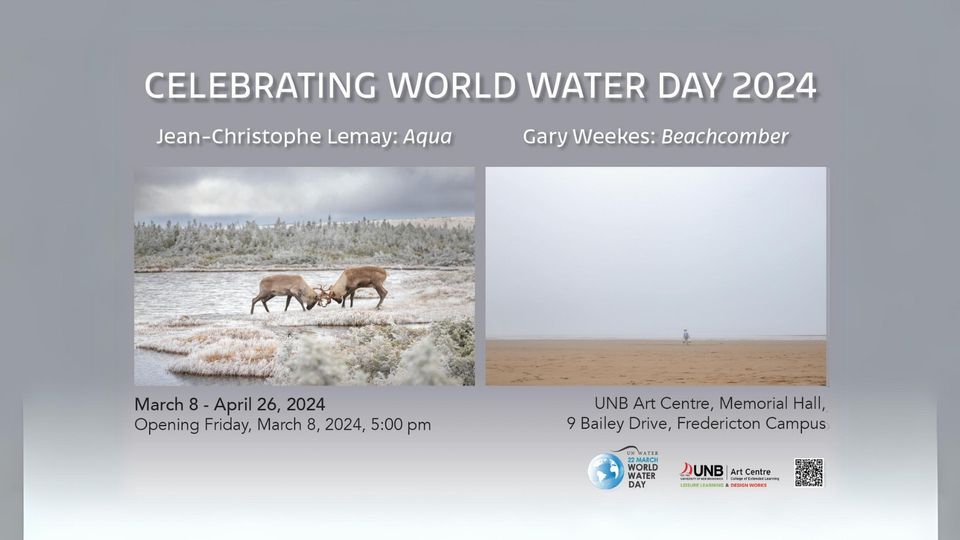 World Water Day Celebrations At The Unb Art Centre 9 Bailey Drive