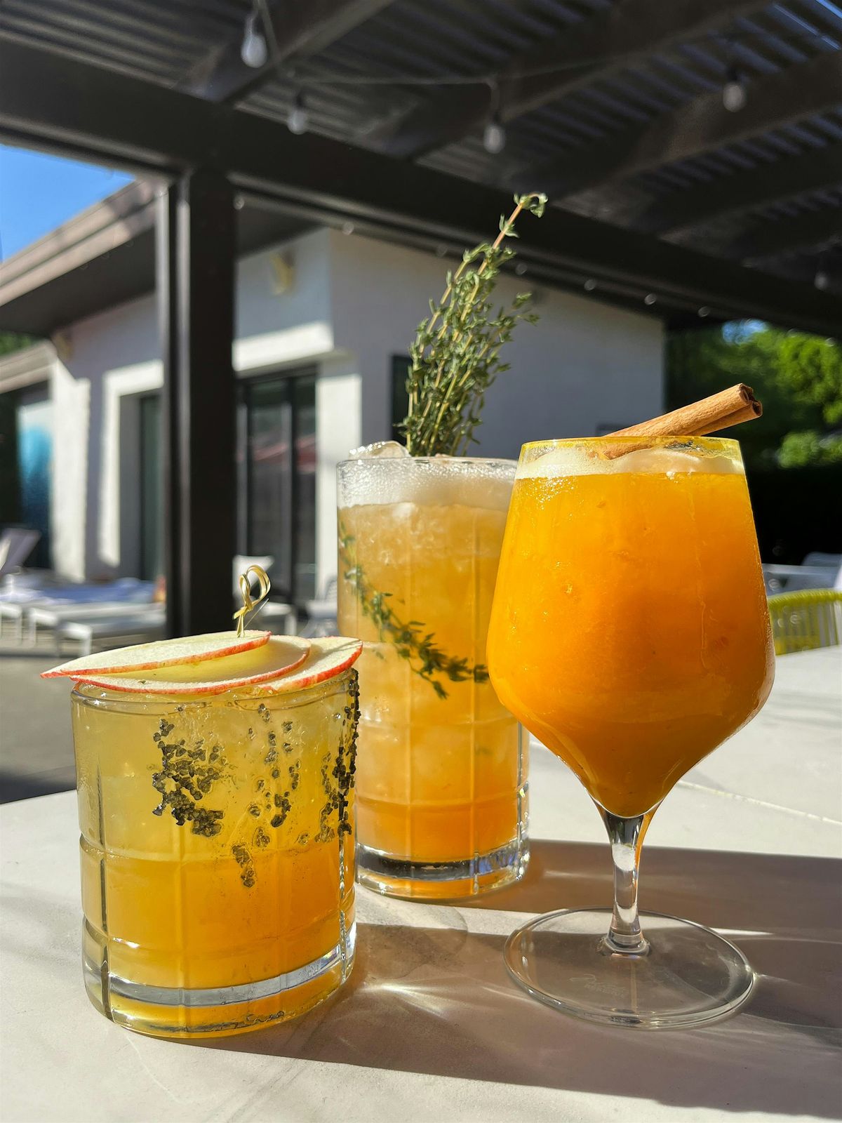 Harvest Spirits: A Mixology Experience at Sol Y Sombra, Sol Y Sombra ...
