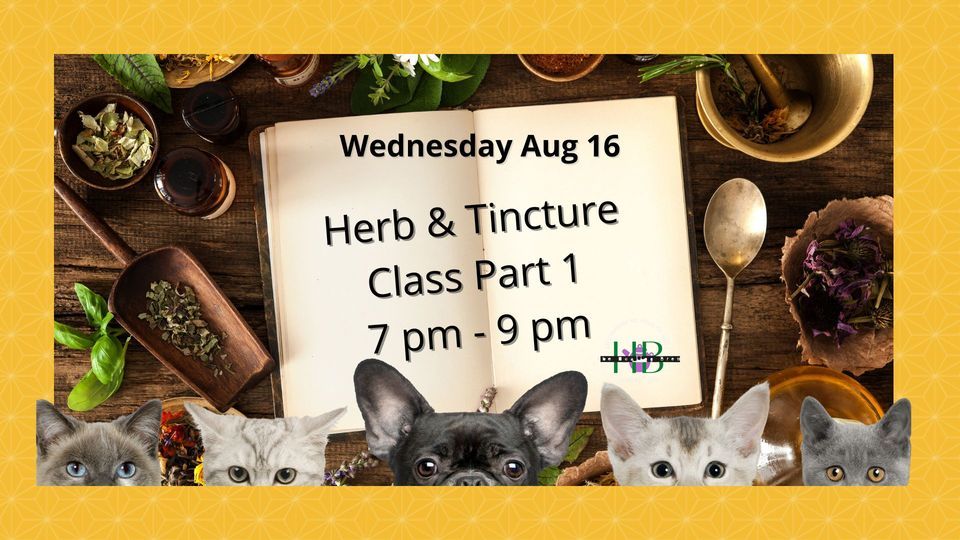 Herb and Tincture Class with Master Herbalist Bryan Peters, The Healing ...