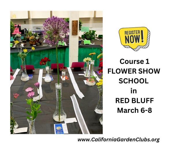 CA Flower Show School #1, First United Methodist Church Red Bluff, 6 ...
