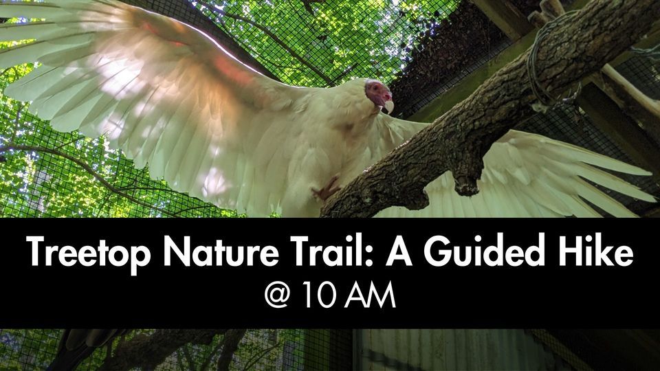 Treetop Nature Trail: A Guided Hike, Treetop Nature Trail Oak Mountain ...