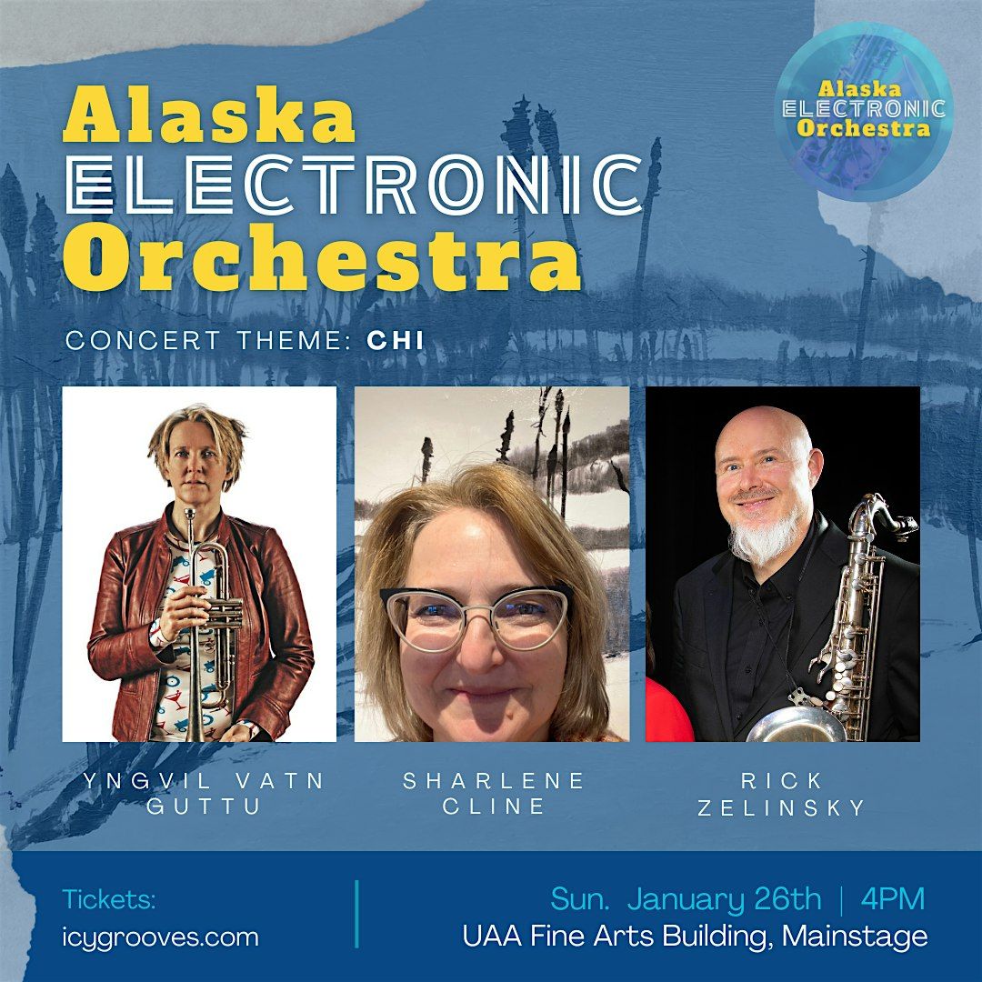 Alaska Electronic Orchestra Concert "Chi" Live Music & Visual Art ...