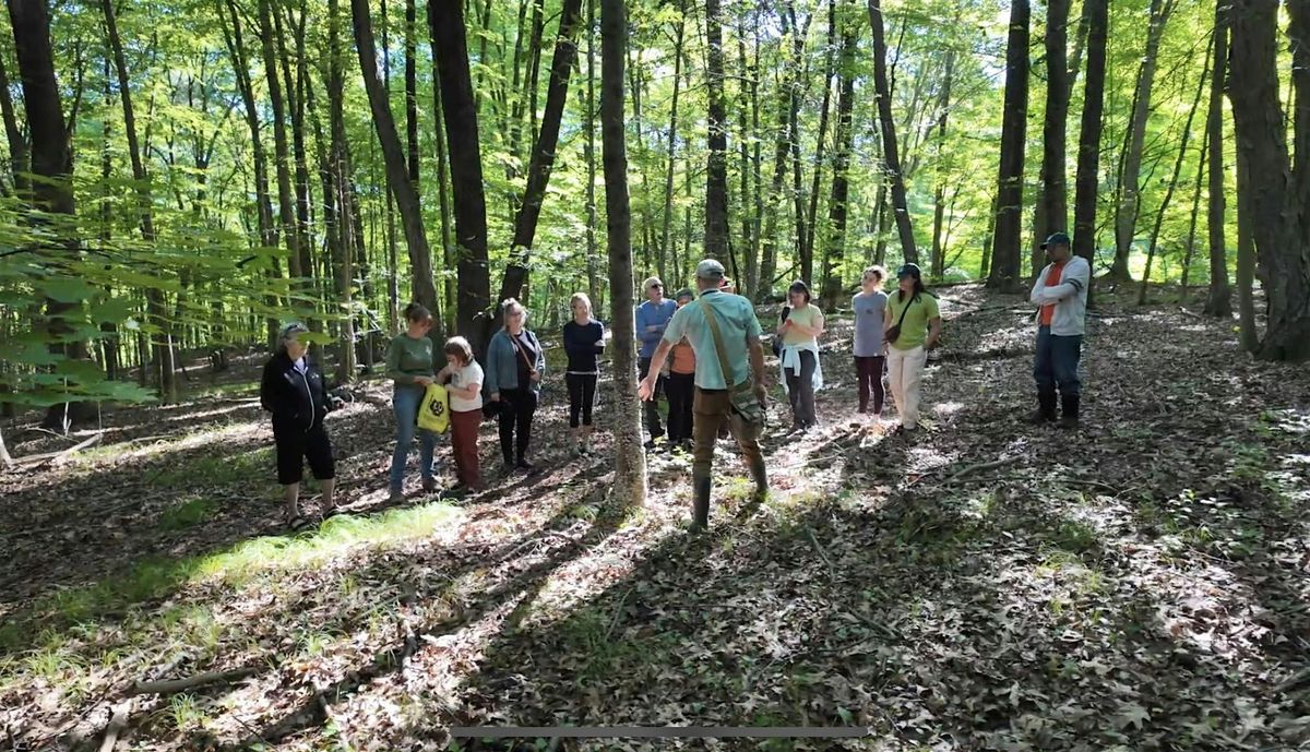Trees and Their Frenemies, Weil Preserve, North Salem, 10 May 2025 ...