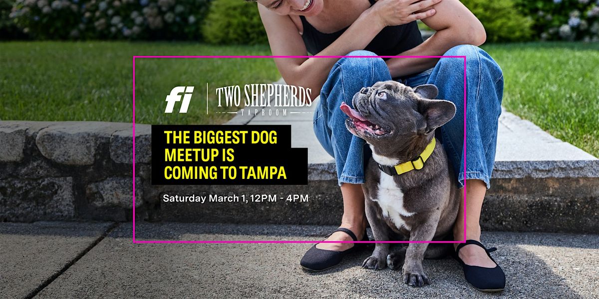 Fi Comes to Tampa - The Biggest Dog Meetup!, Two Shepherds Taproom ...