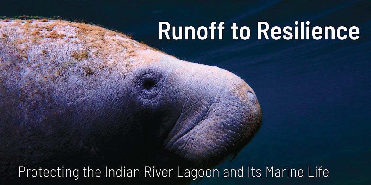 Runoff to Resilience: Protecting the Indian River Lagoon, The Nature ...