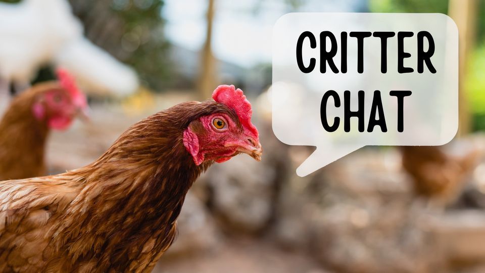 Critter Chat - March, Garfield Park Conservatory - Indy Parks and ...