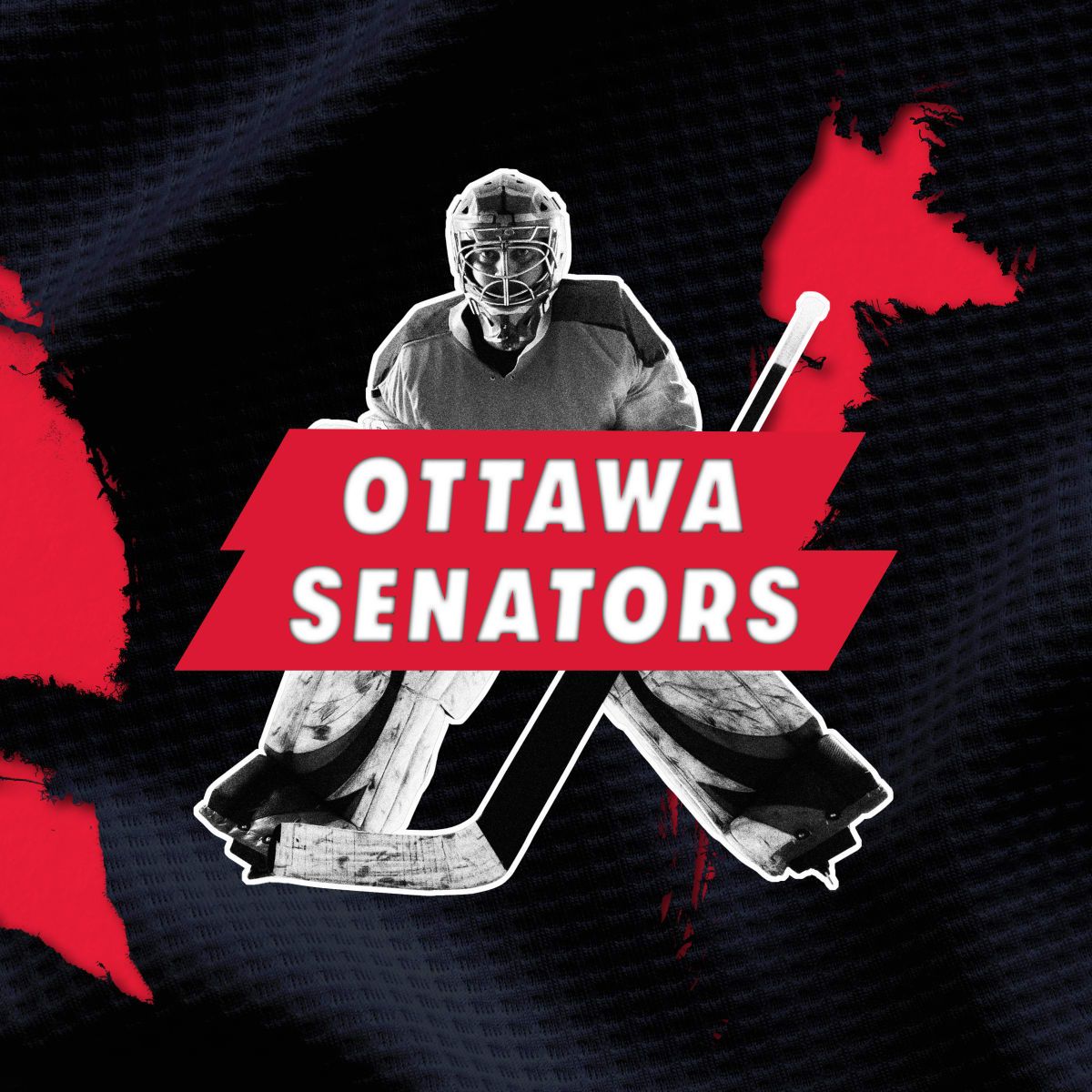 Dallas Stars at Ottawa Senators at Canadian Tire Centre, Canadian Tire ...