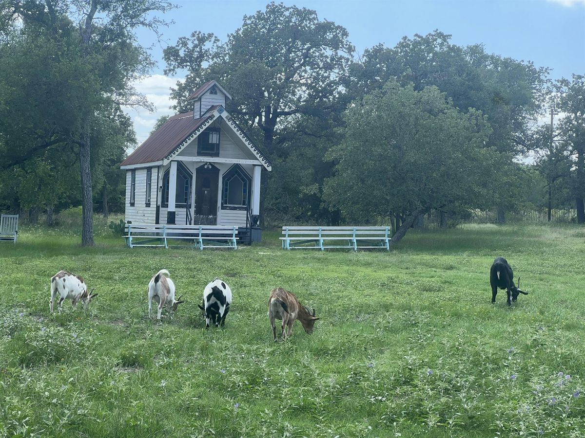 Tiny T Ranch Writing Day with Spike Gillespie, Tiny T Ranch, Garfield ...