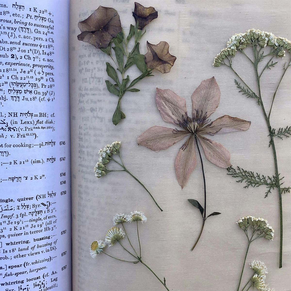 Pressed Flowers (Two Part Series) | Jake Willwerth, instructor, Paul ...