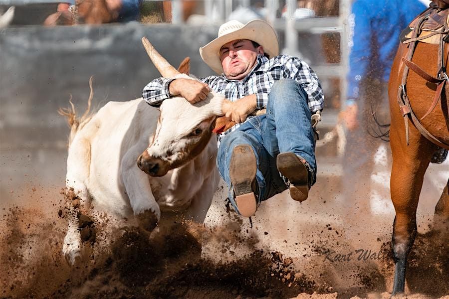 Barossa Rodeo, Barossa Helicopters, Hoffnungsthal Road, Lyndoch SA ...
