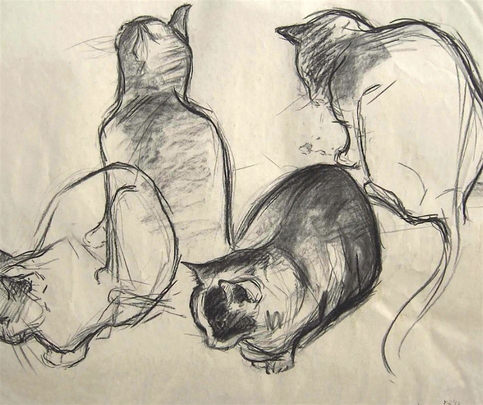 Intro to Charcoal Drawing - learn to draw animals in Toronto, Yonge ...
