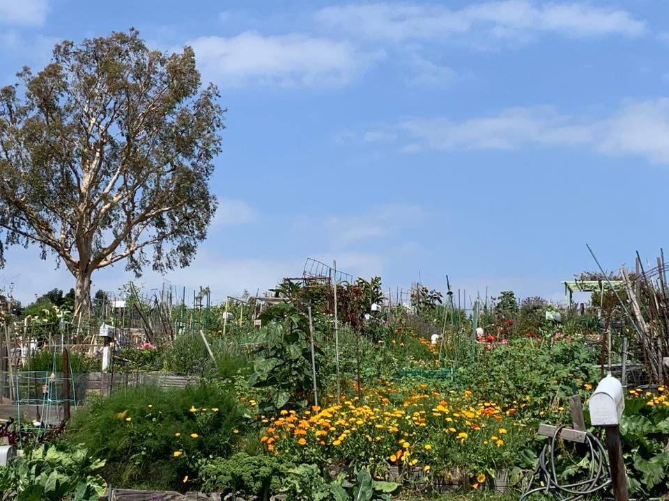Sunday Workday , 3300 S Centinela Ave , Los Angeles, CA, United States ...