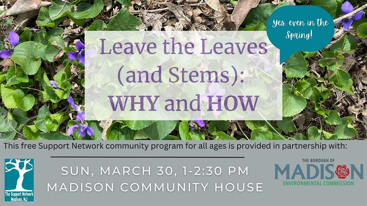 Leave the Leaves (and Stems): WHY and HOW, The Support Network Hub ...