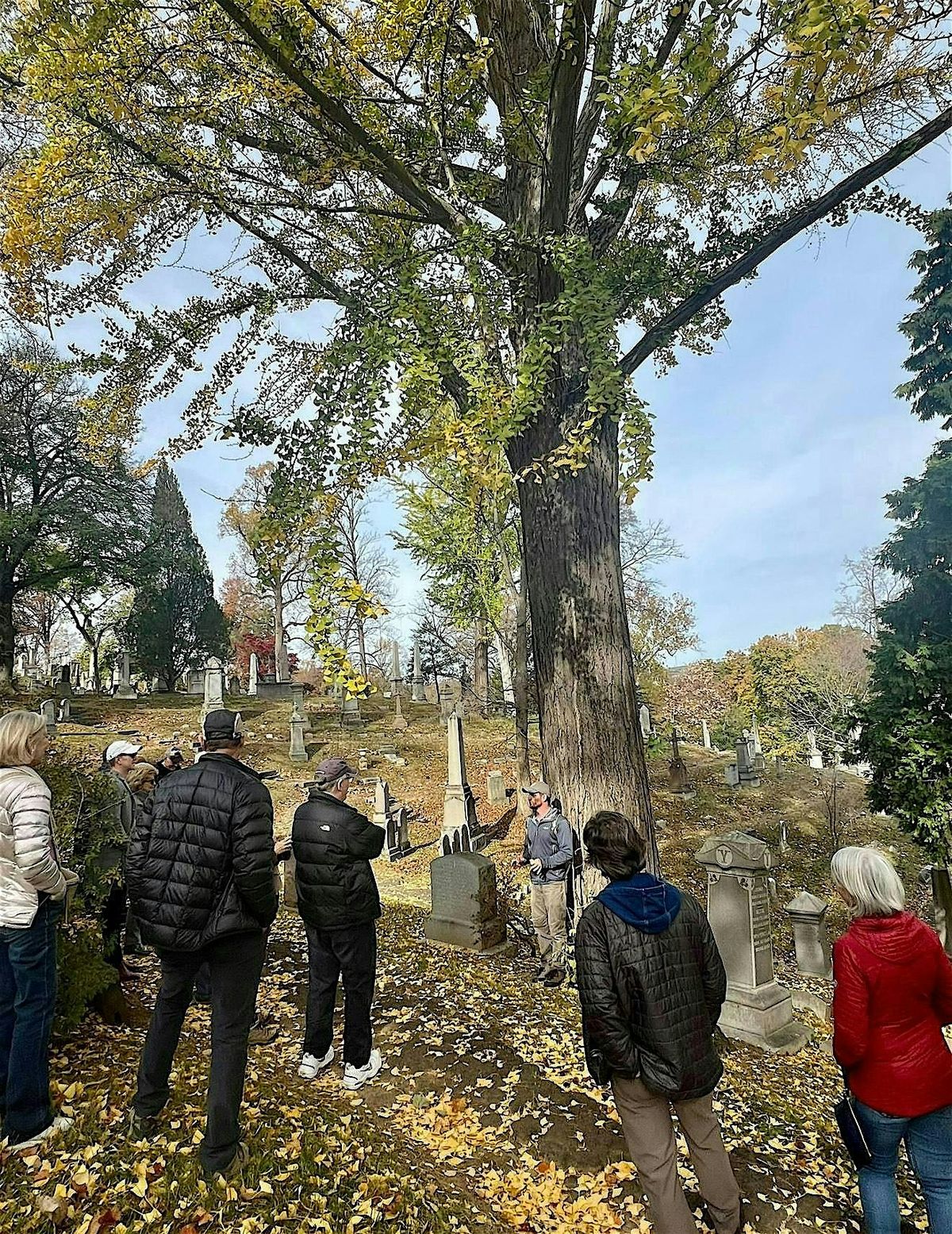 Significant Tree Walk with Historical Ecologist Michael Gaige, The Oak ...