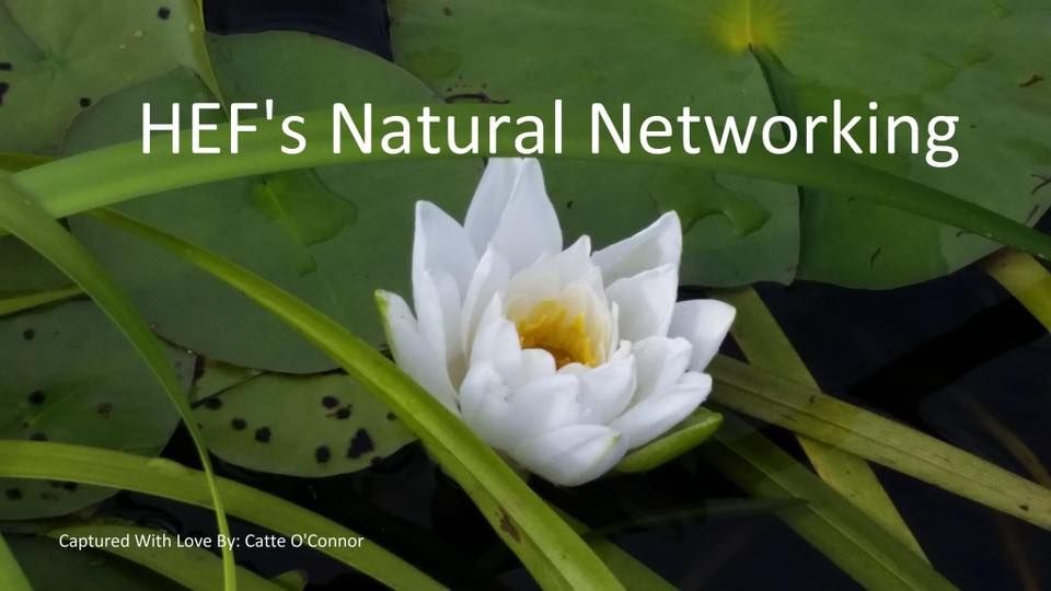 HEF Natural Networking, Emman's Asian Gourmet, Stuart, 11 April 2024 ...