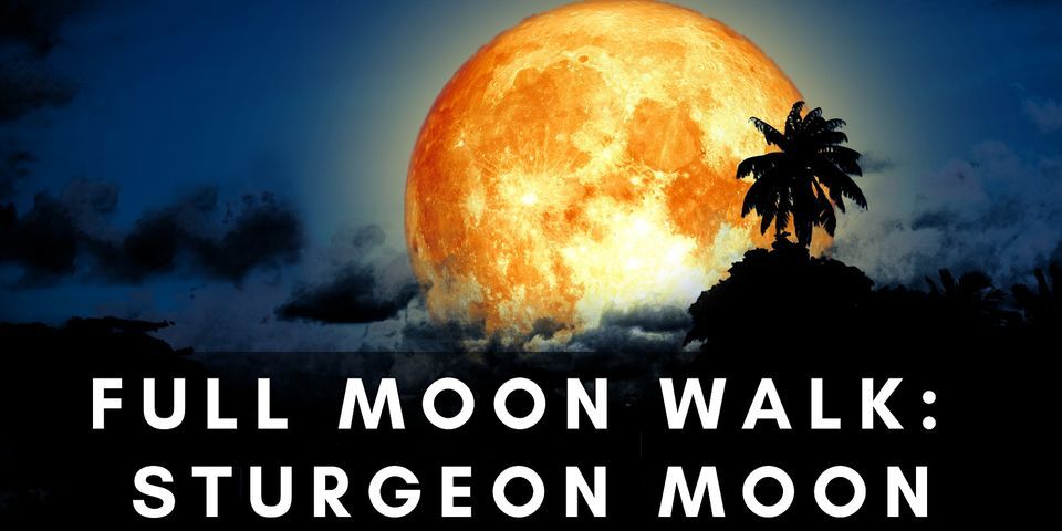Full Moon Walk: Sturgeon Moon, 24 Cottage Road,Kensington,03833,US ...