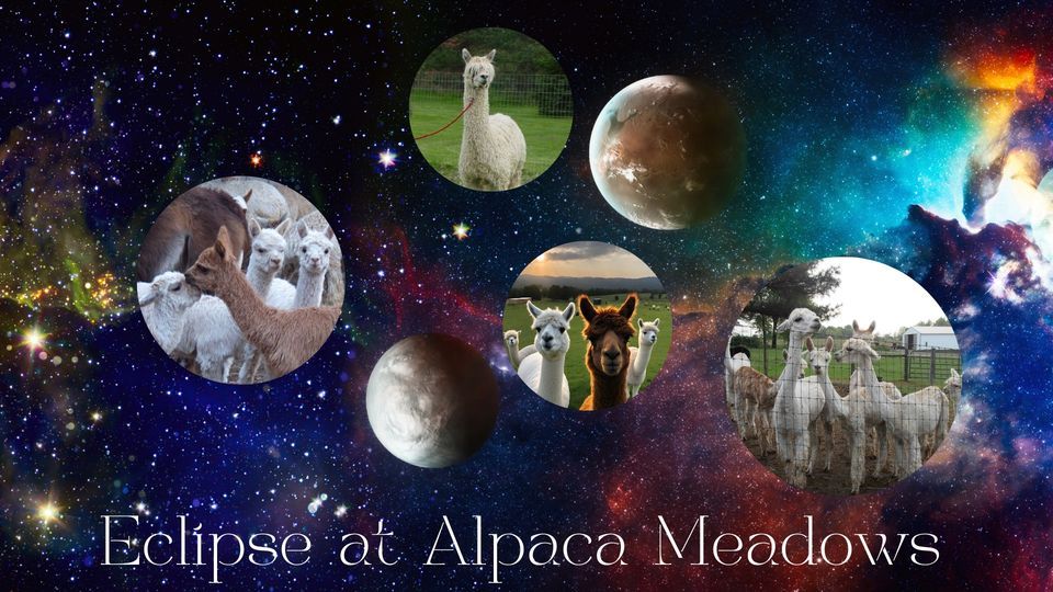 Eclipse at Alpaca Meadows, 1200 Rock Rd, Mansfield, OH, United States ...