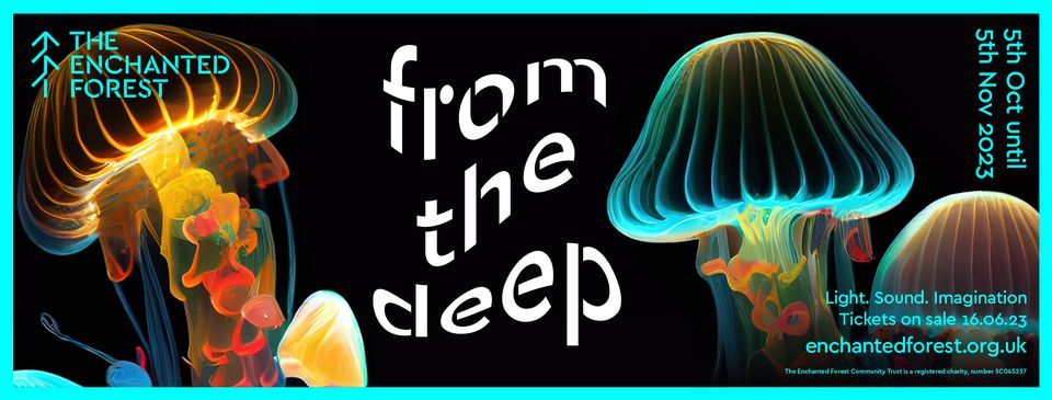 The Enchanted Forest 2023: From the Deep, Faskally Wood, Perth, 5 ...