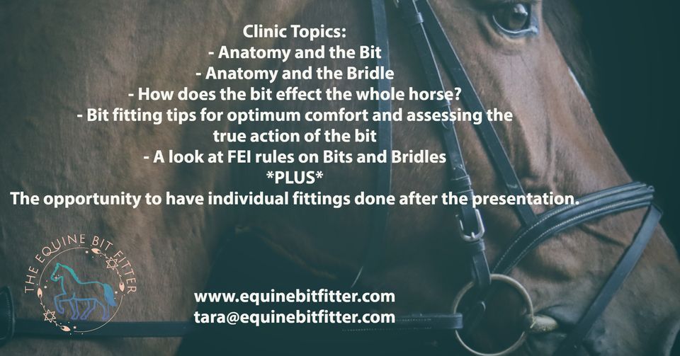 The Equine Bit Fitter - Bits, Bridles & Biomechanics, Rochelle Kilberg ...