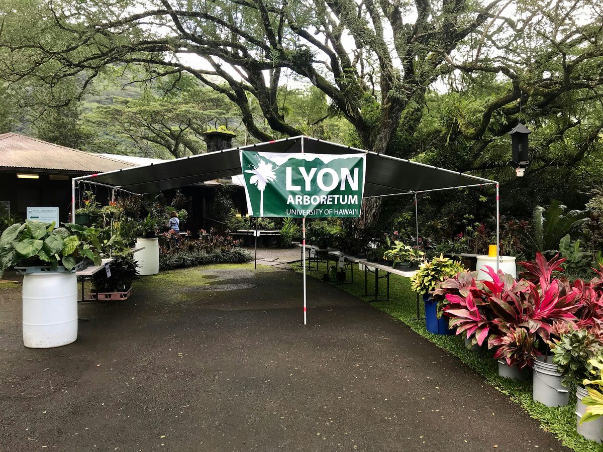 Lyon Arboretum Fall Holiday Plant & Craft Sale 2025, Harold L. Lyon ...