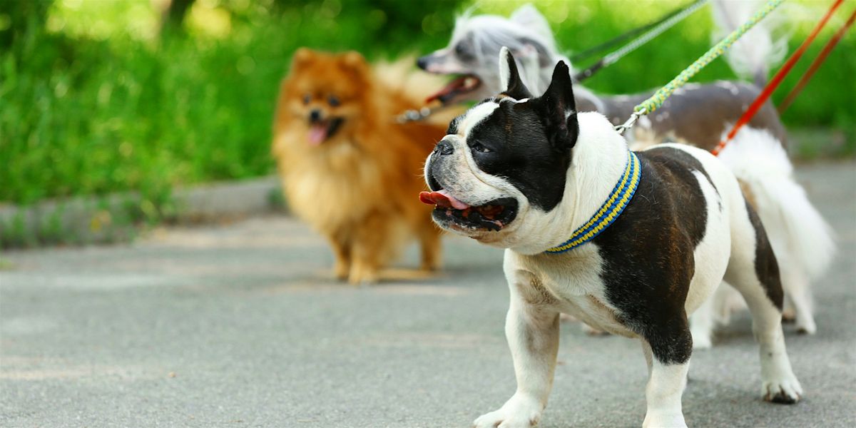 Summer Solstice Tails on Trails, Niagara Falls State Park - Parking Lot ...