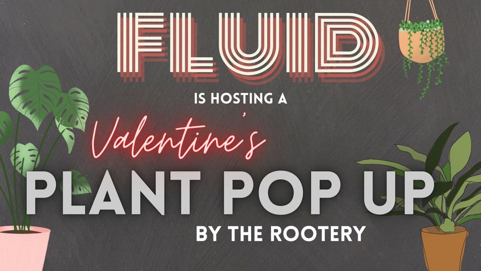 THE ROOTERY | PLANT POP-UP | FLUID COFFEE ROASTERS CROWNPOINT| , 10641 ...