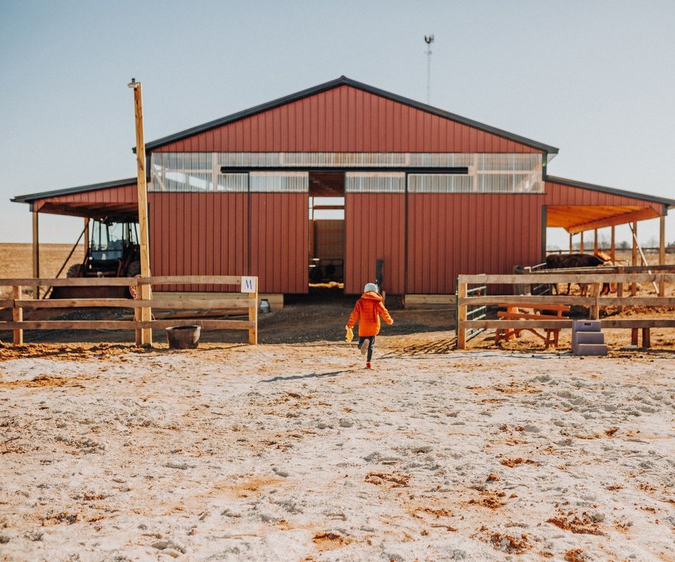 Pop-Up Outdoor Activities for Families, The Farmyard, Parkton, 2 March ...