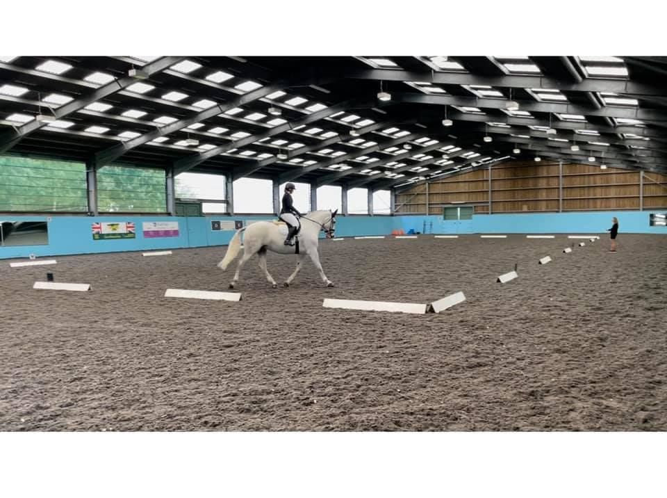Unaffiliated Dressage, World Horse Welfare Hall Farm, Banham, 9 June ... Unaffiliated Dressage, World Horse Welfare Hall Farm, Banham, 9 June ...