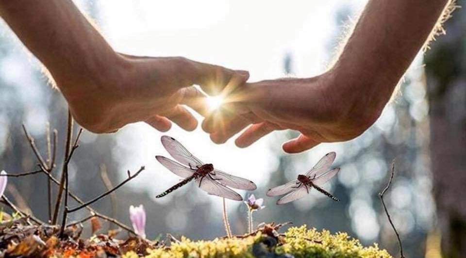 Reiki Therapy with Rachel Melody RM (Okemos), Beyond A Dream (Okemos ...