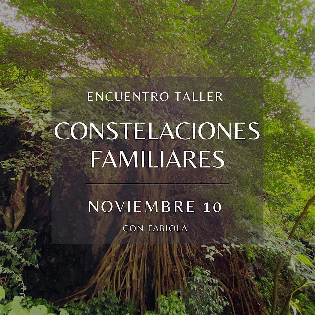 Constelaciones Familiares: 10 noviembre 2024, 10 November 2024 | AllEvents.in