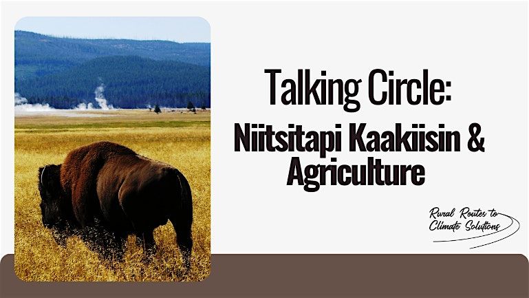 Talking Circle: Niitsitapi Kaakiisin & Agriculture, Red Crow Community ...
