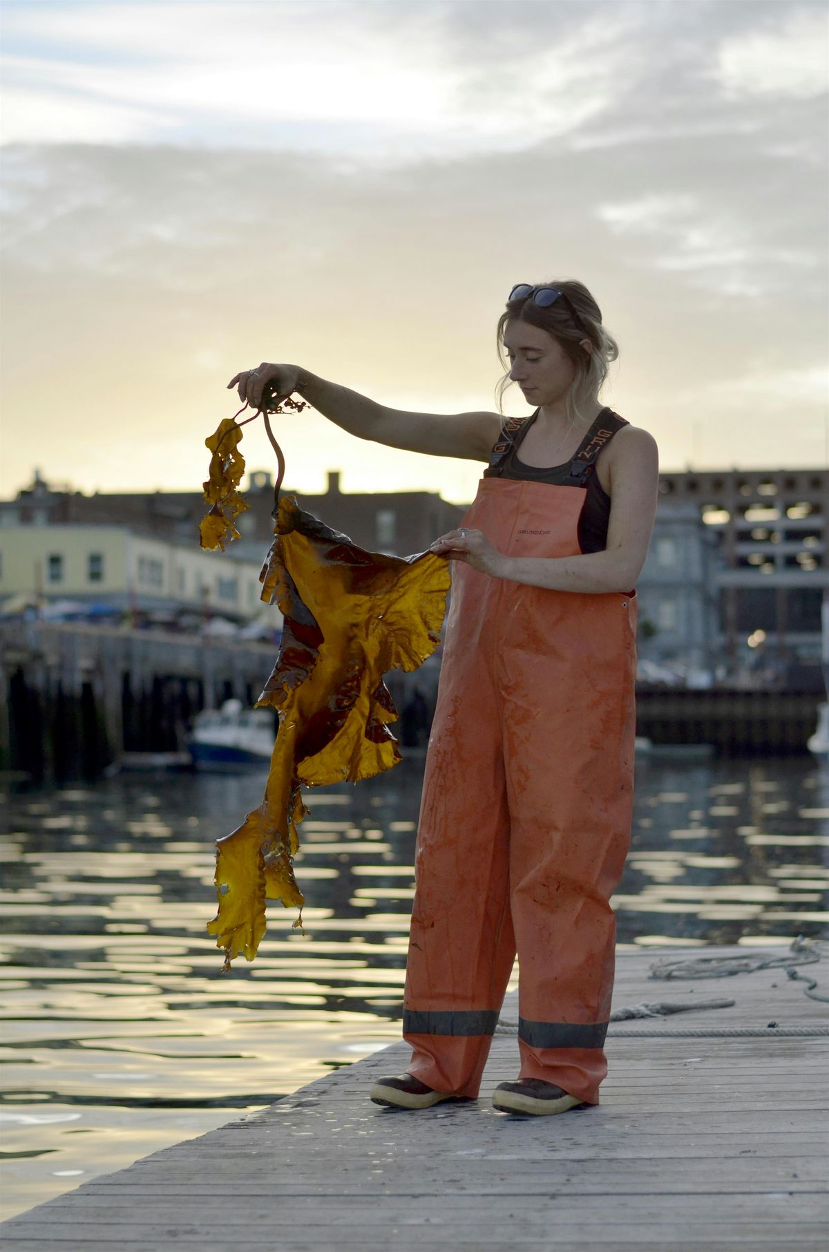 Panel 2: Beyond the Shore: Seaweed Innovation & Maine’s Blue Economy ...