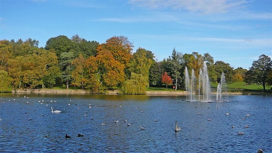 Community Birdwatching Walk at Roundhay Park - Leeds Lapwings, Roundhay Park Main Car Park, 16 ...