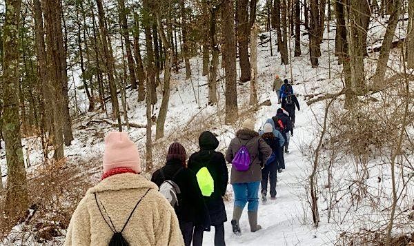 Winter Seasonal Walk with Justin Wexler, The Willows at Brandow Point ...