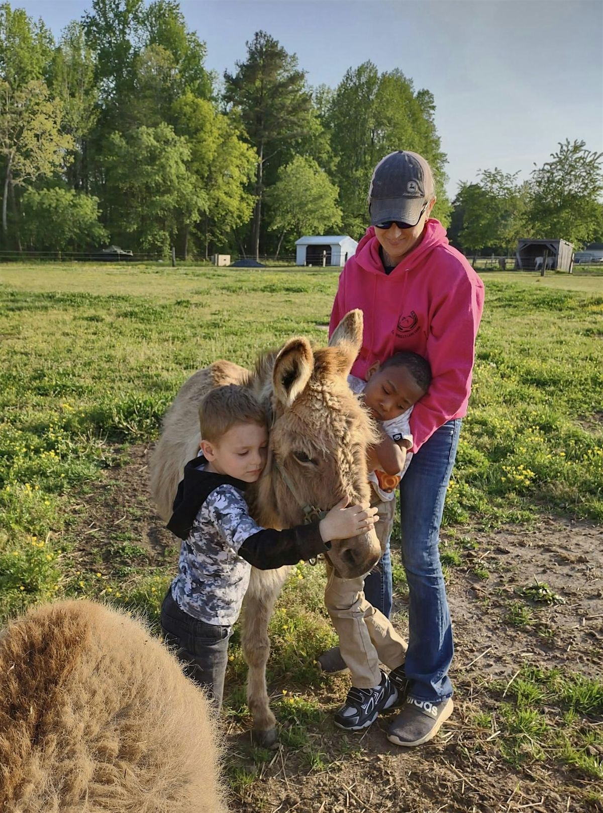 Donkey Cuddling: for Neurodivergent Children and Adults, 22862 Dover ...