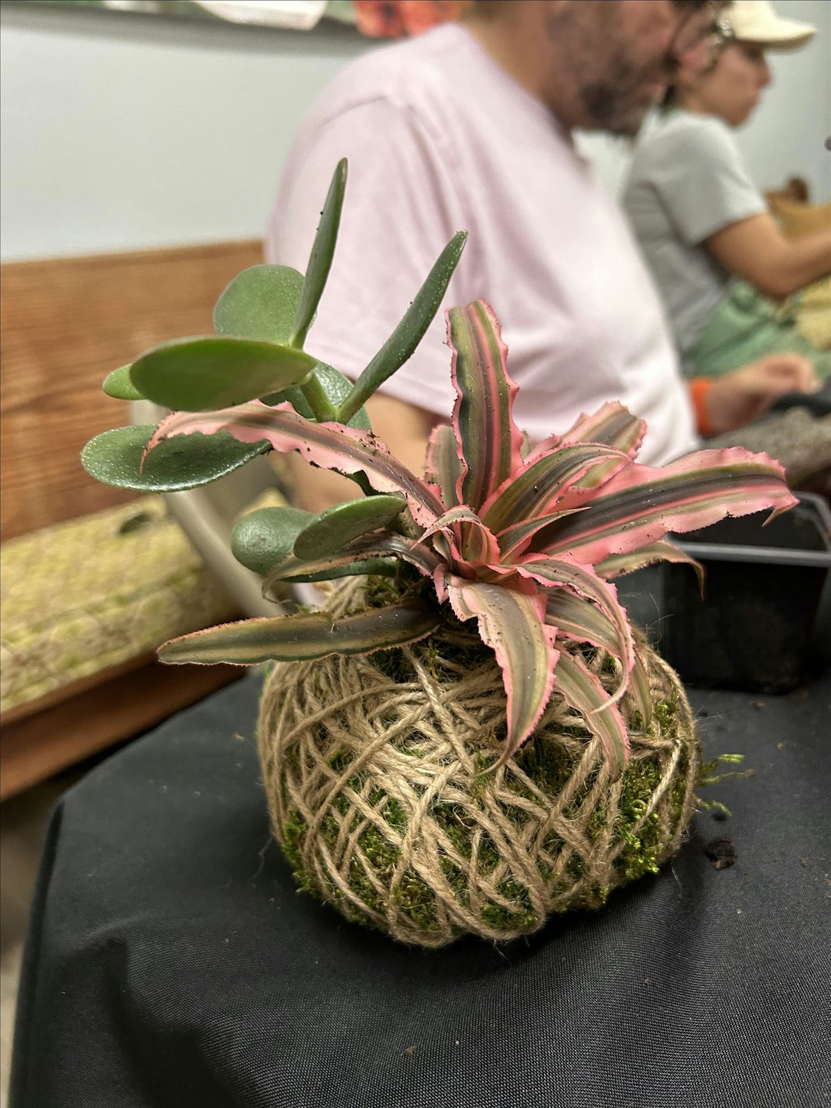 Kokedama Moss Ball Workshop, Urban Earth, Memphis, 26 July 2025 | AllEvents