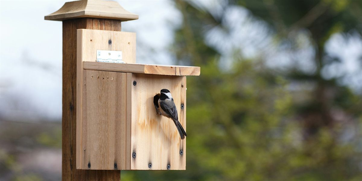 Songbird Nest Box Building Workshop, USU Botanical Center, Wetland ...