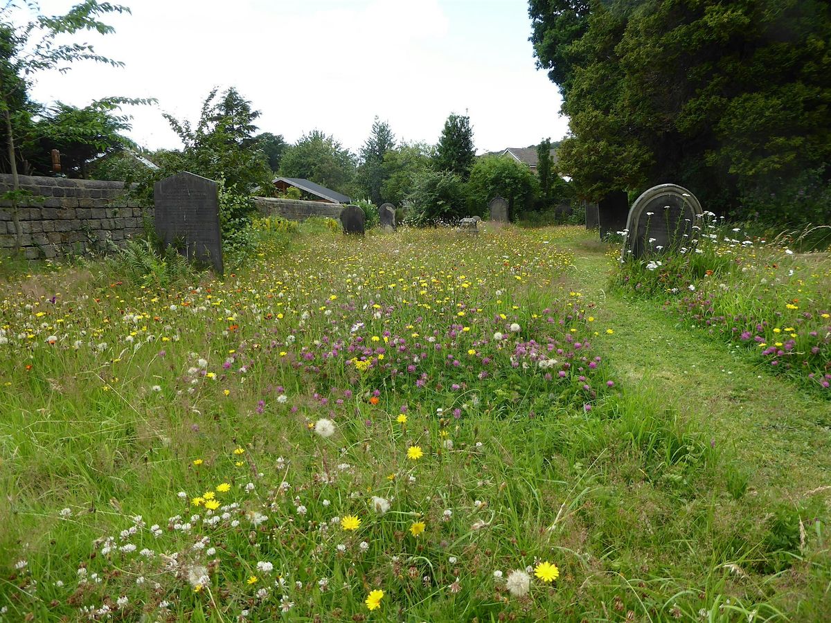 Climate Conversation: Launch of a Nature Recovery Plan for Horsforth ...