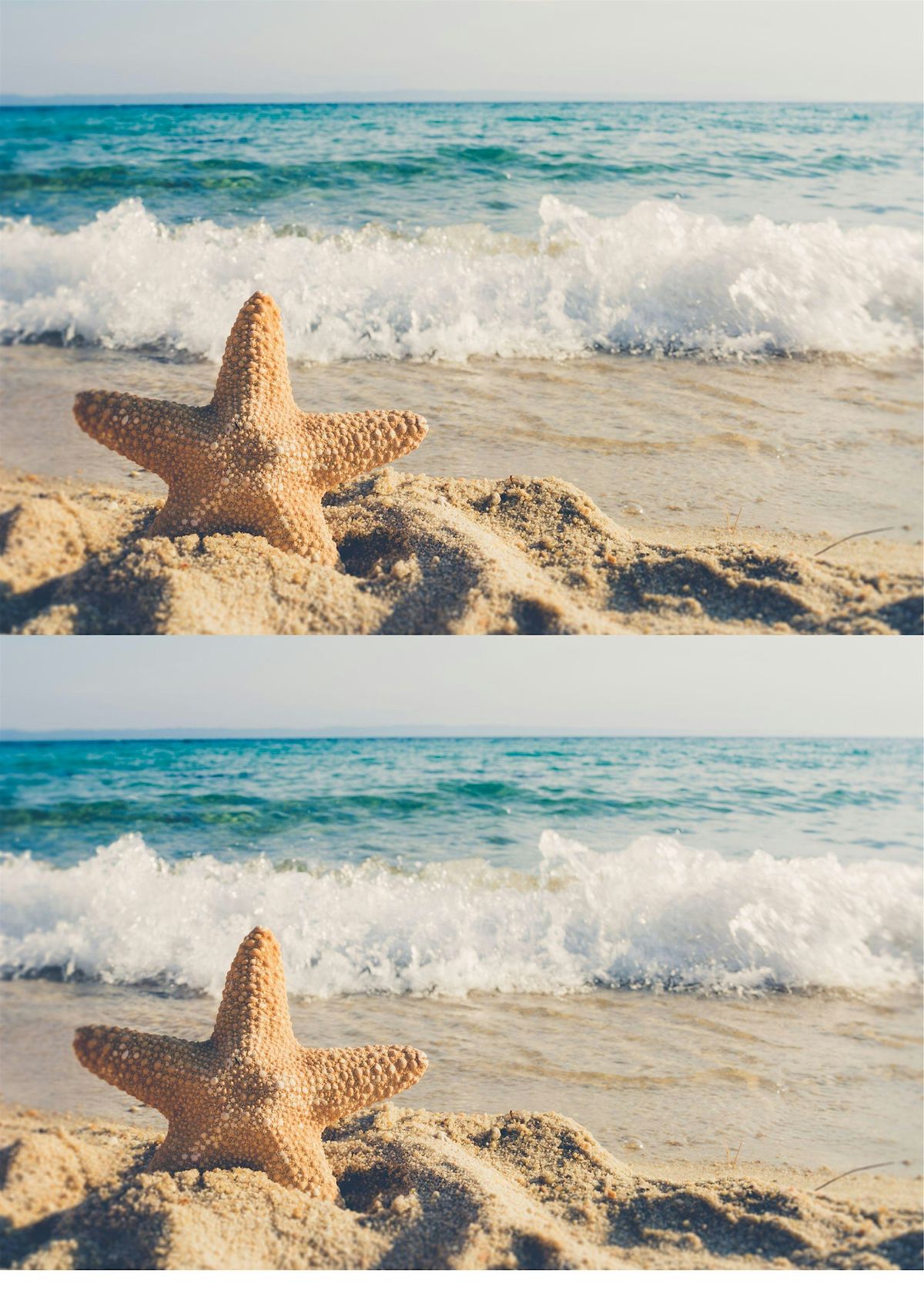 Beach in a Jar - Woodcroft Library, Woodcroft Library, Morphett Vale ...