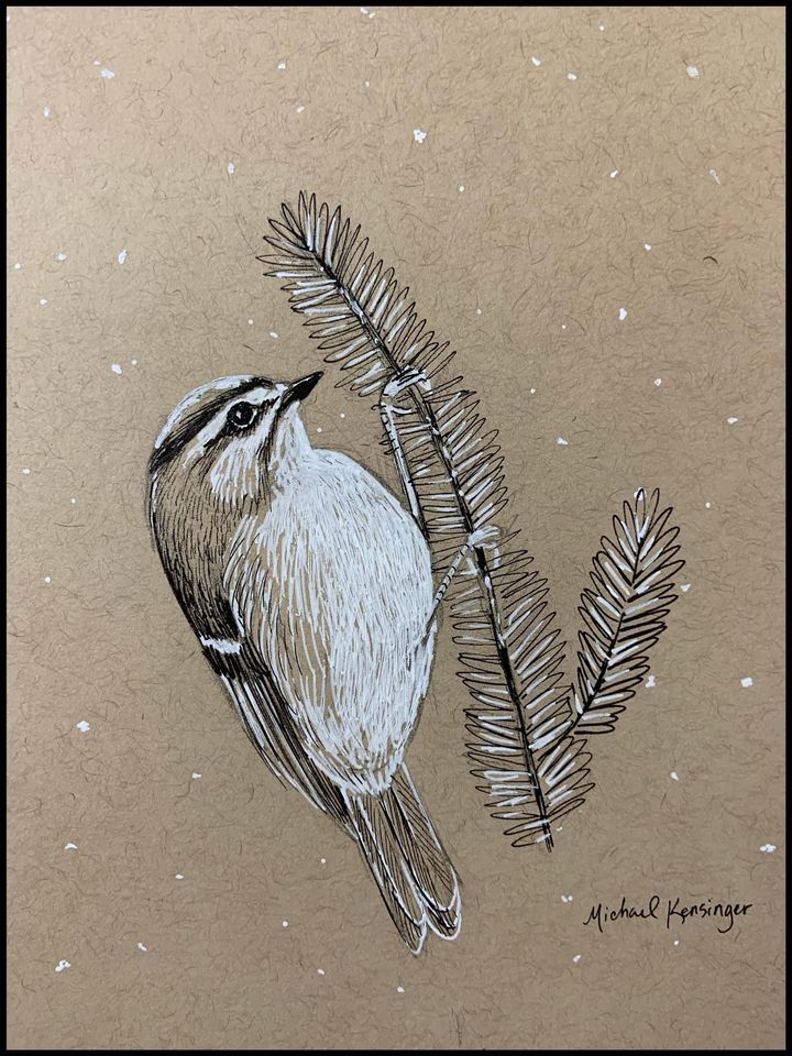 JVAS Fort Roberdeau Feeder Watch & Sketch , Fort Roberdeau, Altoona, 14 ...