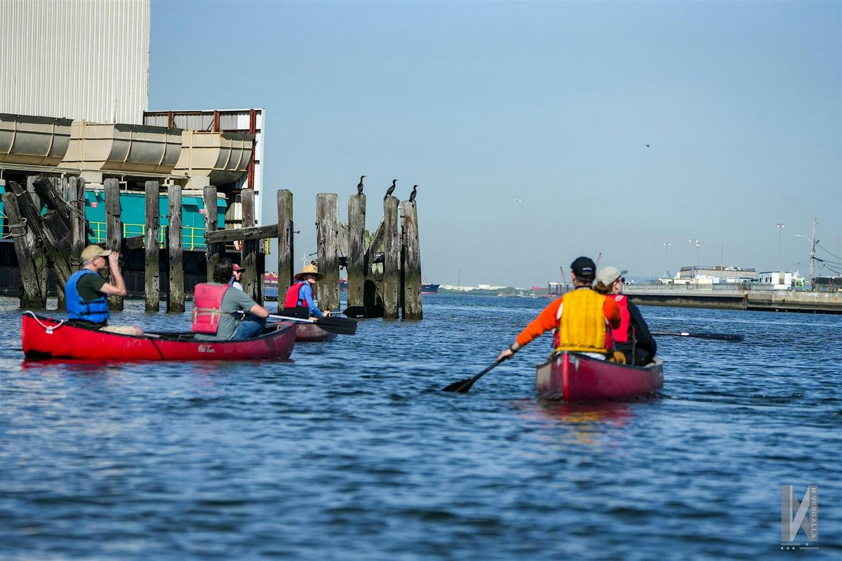 Birding By Canoe with the Gowanus Dredgers and Local Nature Lab ...