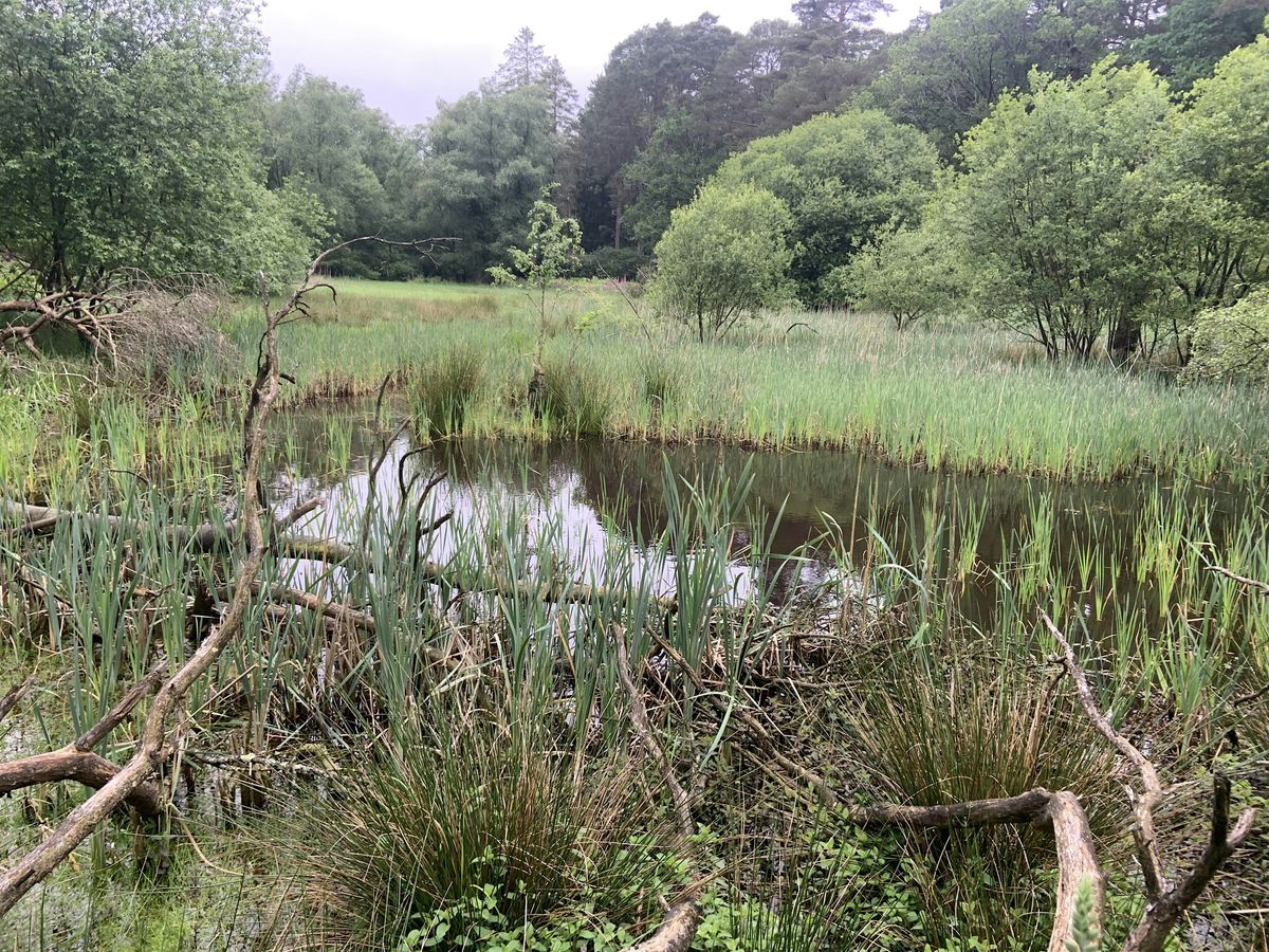 Climate & Conservation Walk - Franchises Lodge, RSPB Franchises Lodge ...