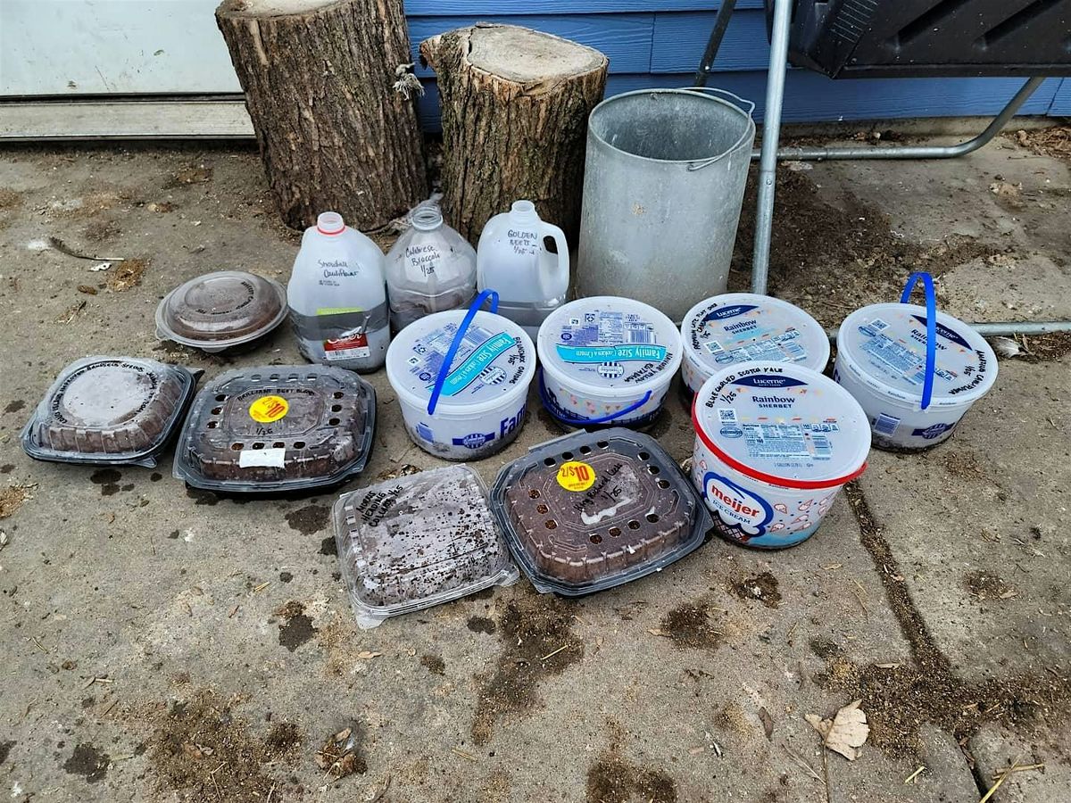 Winter Seed Sowing Workshop, West Pullman Branch, Chicago Public ...