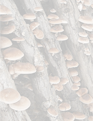 Grow Your Own Mushrooms, NatureWorks Park, Hollidaysburg, 3 May 2025 ...