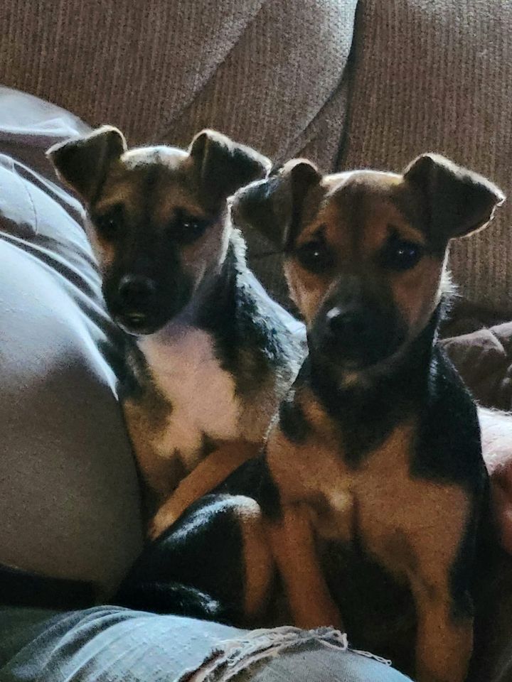 Meet/Greet Tractor Supply Rocky Mount, 506 Sutter's Creek Blvd Rocky ...