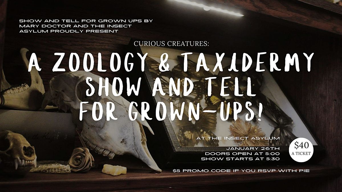 Zoology & Taxidermy Themed Show and Tell for Grown Ups!, The Insect ...
