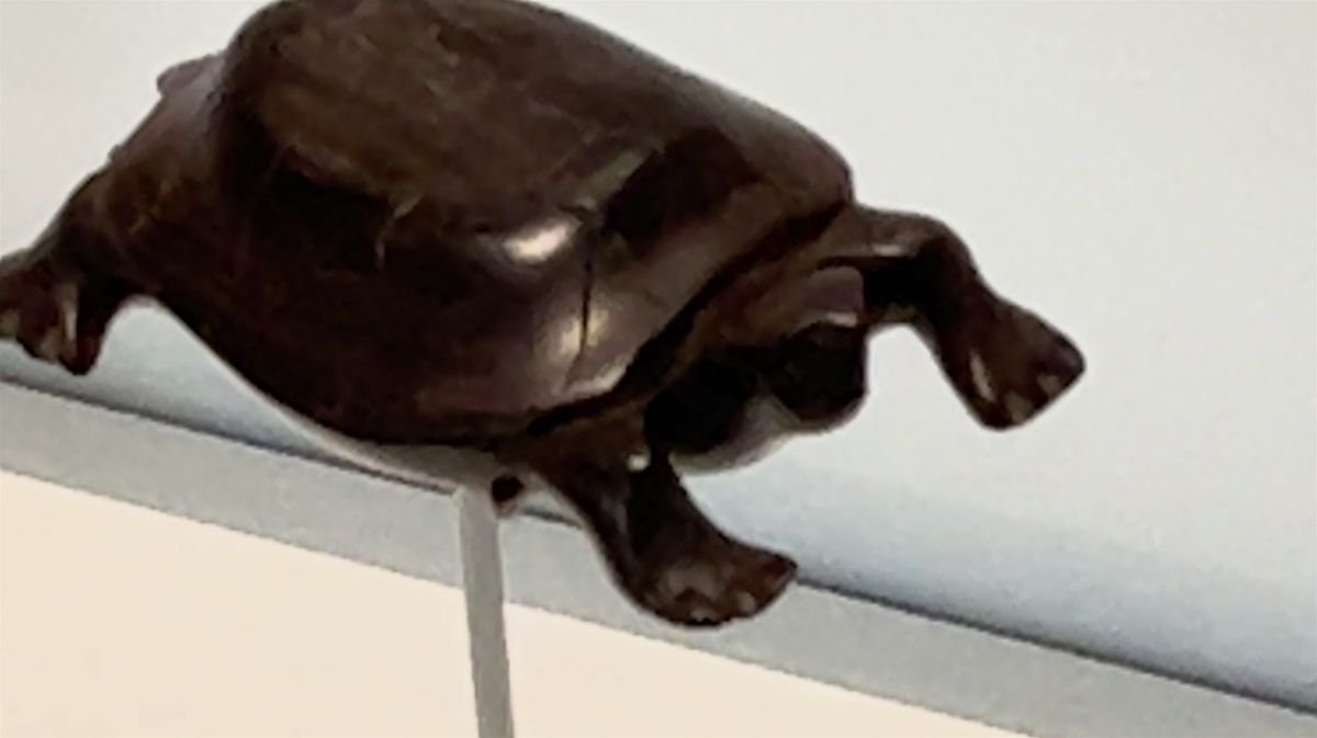 XINEMA: SUNSET SEDUCTION (the "Screening") with Charles de Agustin (NYC ...